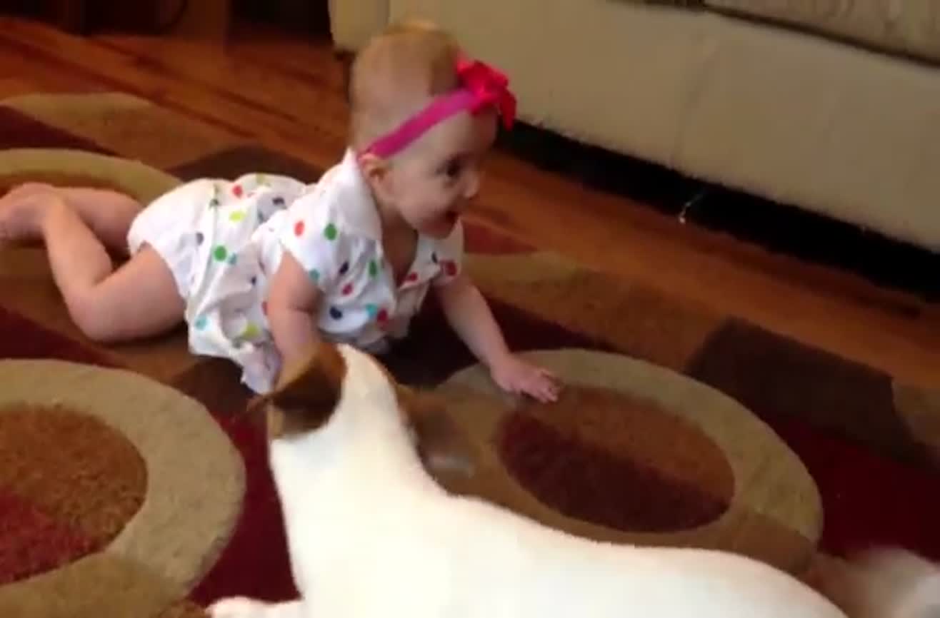 Dog teaches baby how to crawl.