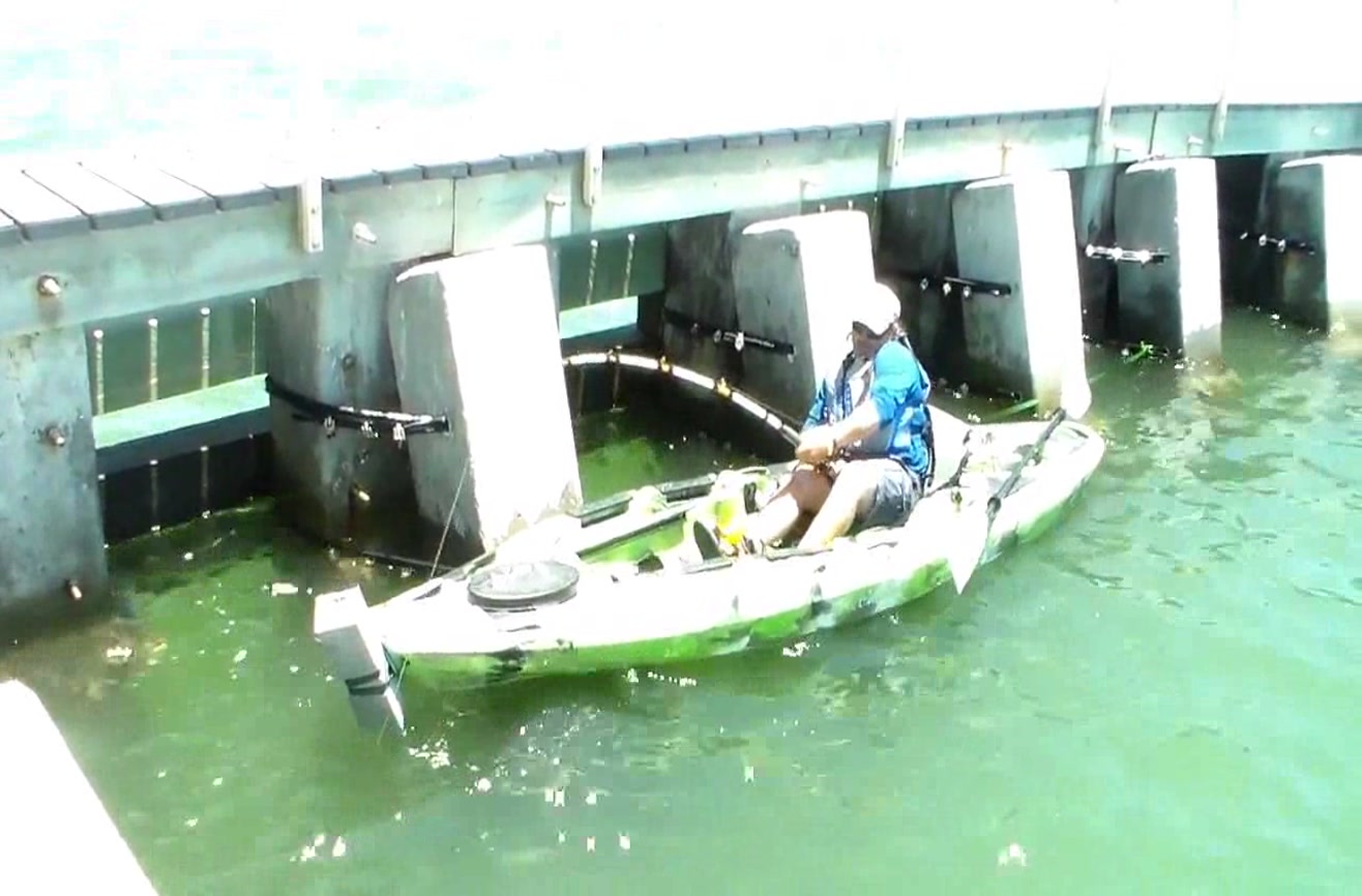 Man regrets fishing in a kayak when he sees the size of his latest catch.