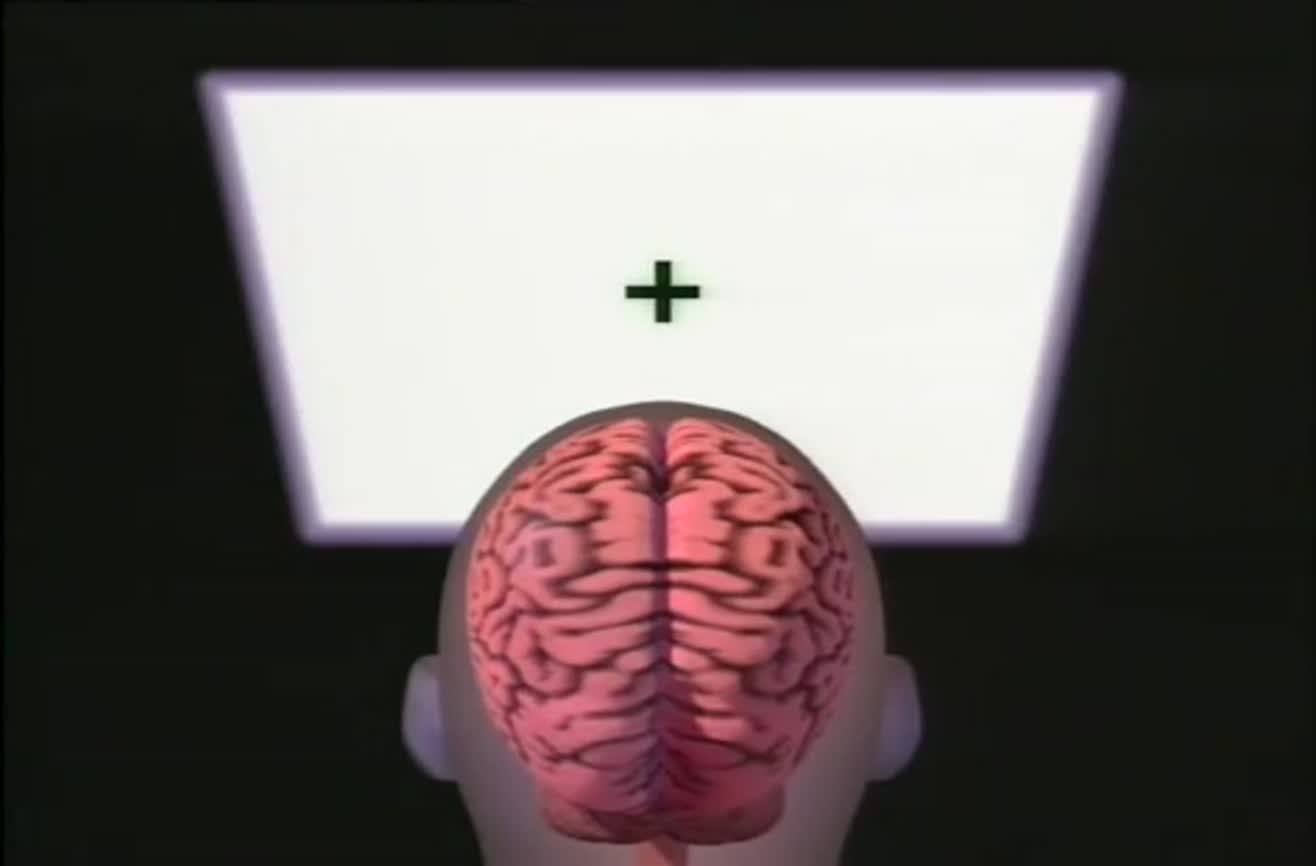 How truly amazing the human brain really is.