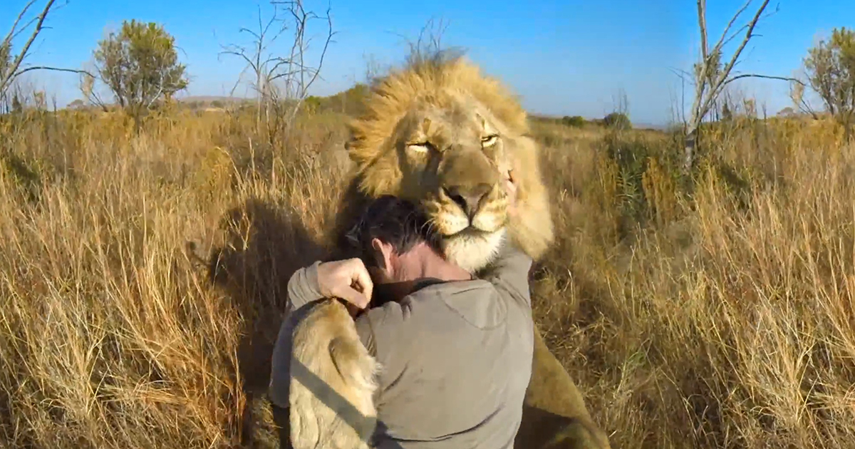 GoPro captures Kevin Richardson hugging some lions.