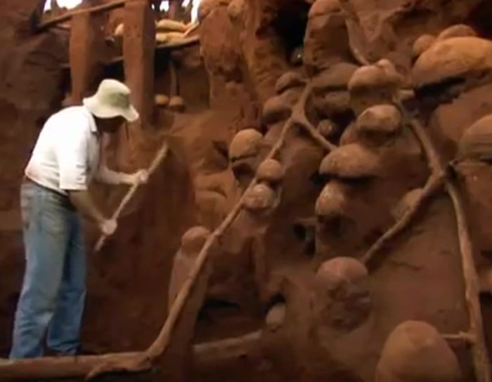 Giant ant hill excavated.