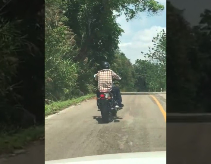Snake targets motorcyclist.