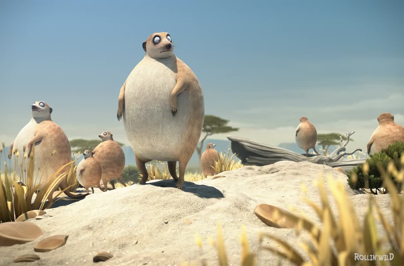 Meerkats: What if animals were round?