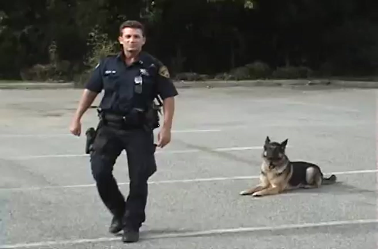 This police dog has an impressive trick.