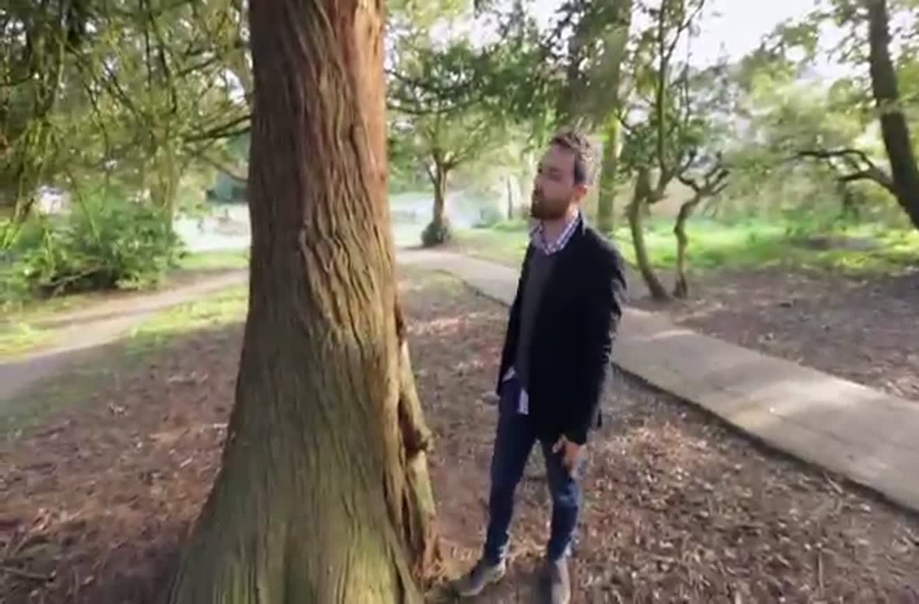 Why the height of trees relates to the behavior of people.