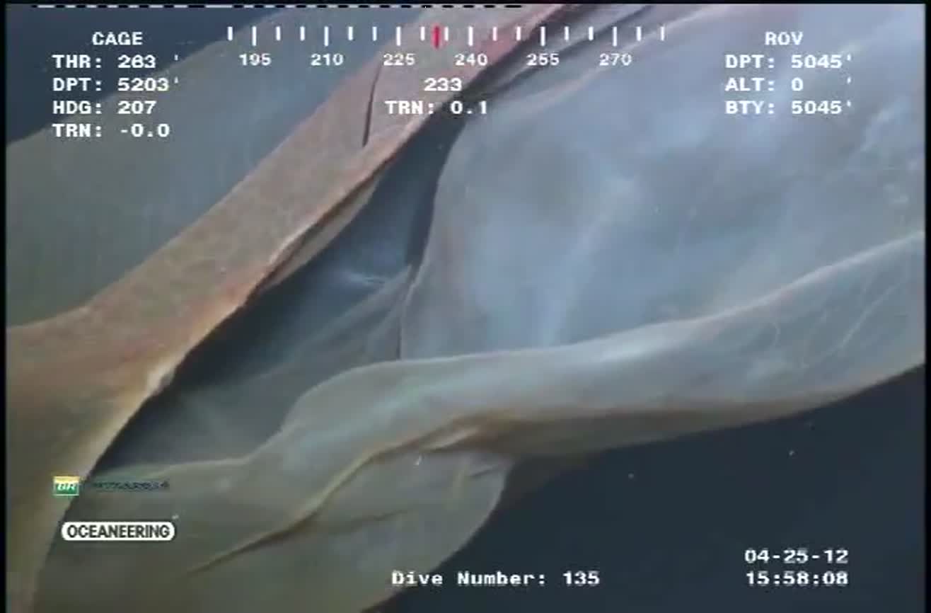 Weird sea creature caught on film by an ROV.