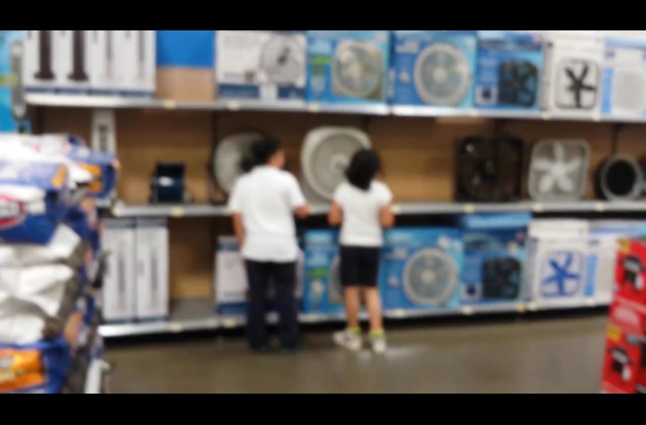 A fellow Walmart shopper catches some kids getting creative in the fan ...