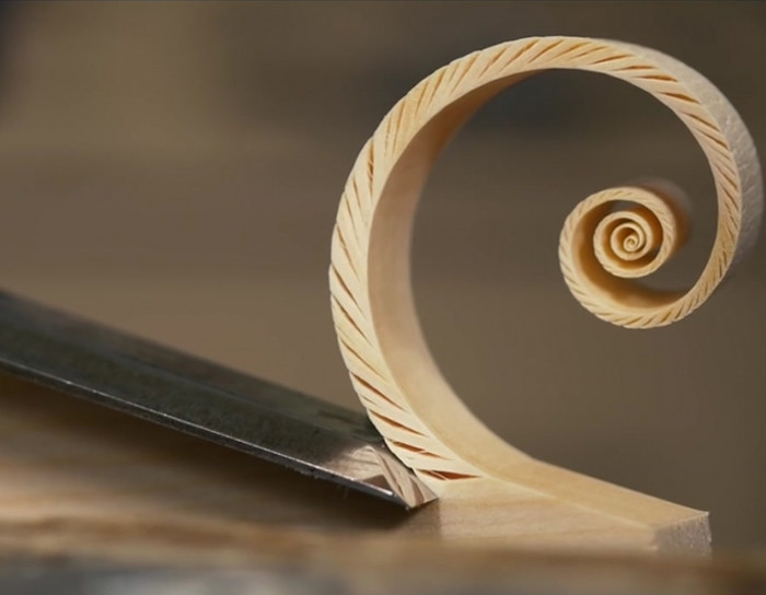 Fibonacci spiral shaving.