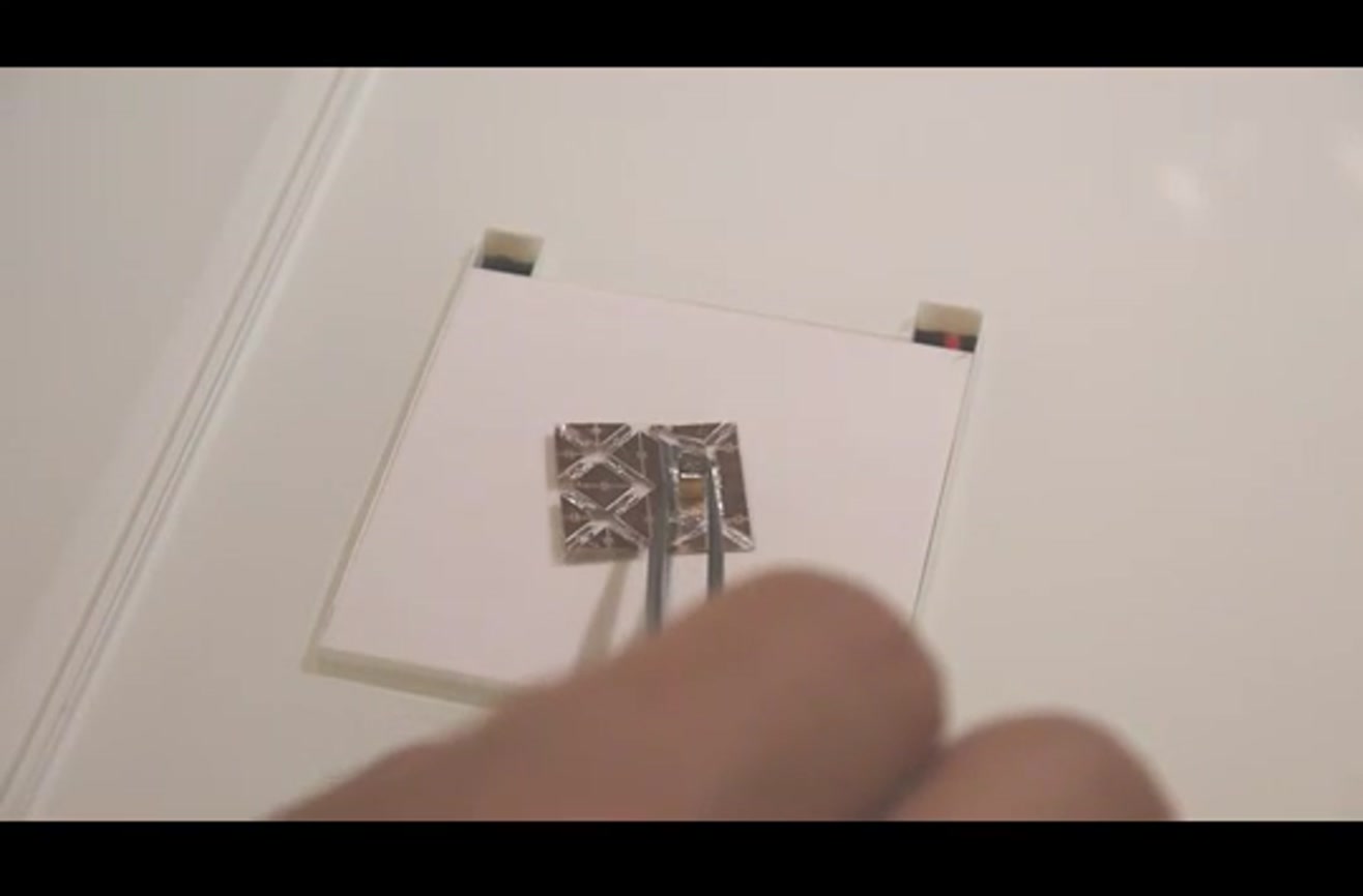 MIT scientists develop a tiny "origami" robot that can walk, swim and ...