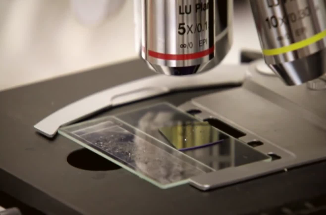 Possibly the biggest technological revolution since the silicon chip.