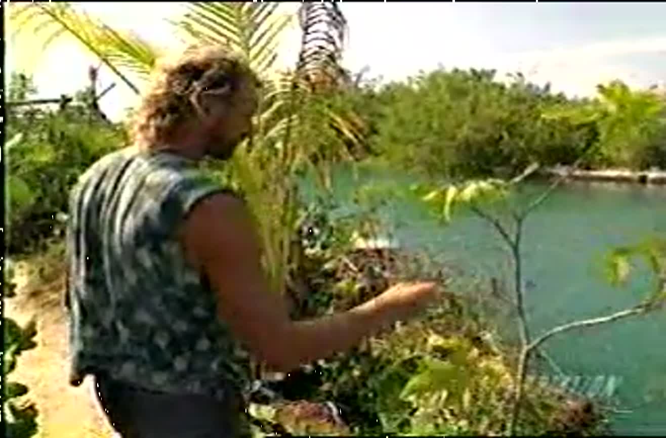 Man builds his own island.