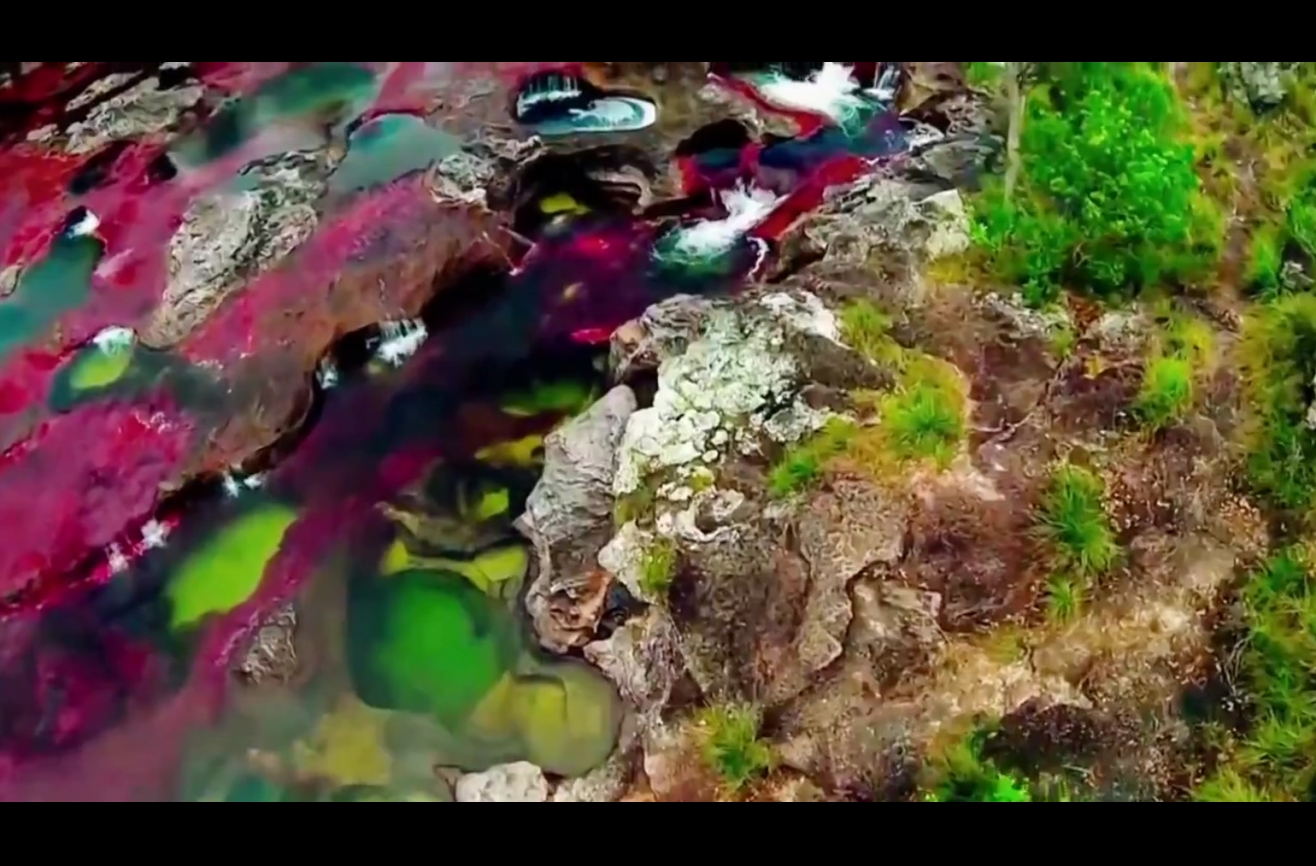 Behold the most colorful river in the world.