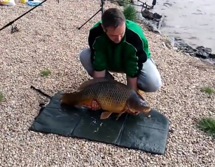 Carp decides it isn't his day to die, escapes from fisherman.