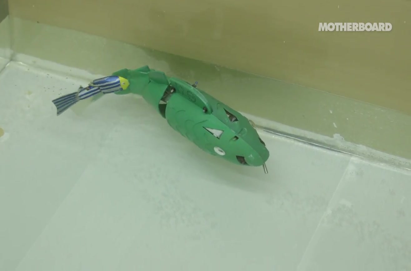 Engineers have big plans for the ultimate robotic fish.