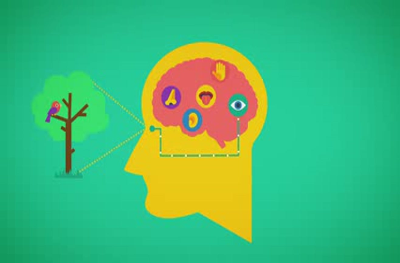 How Ideathesia may explain our understanding of the world. How Ideathesia may explain our understanding of the world.