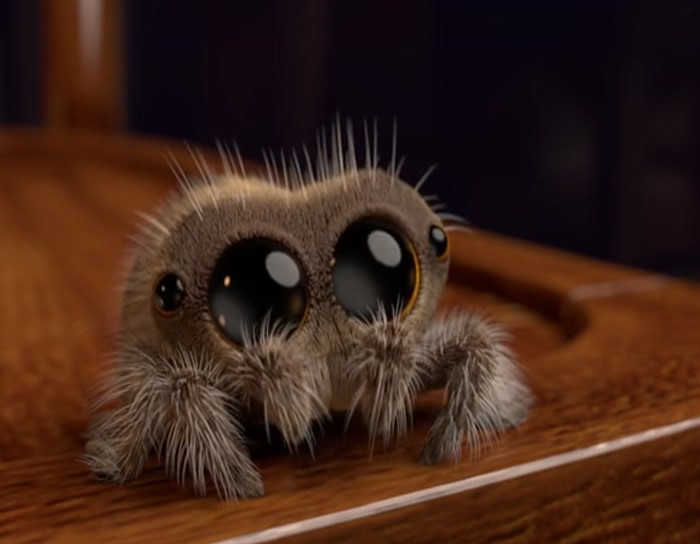 "Zootopia" animator's animation test of a spider named Lucas.