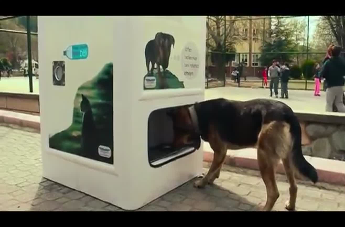 This genius machine helps feed stray dogs and reduces waste.