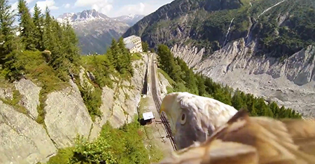 Flying eagle point of view.