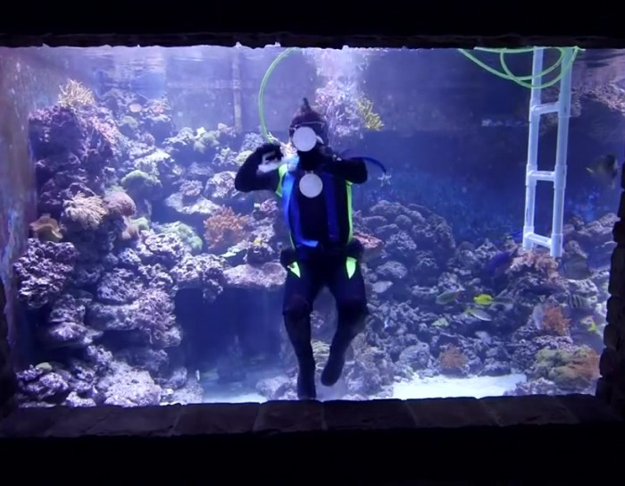 The largest private fish tank in North America.