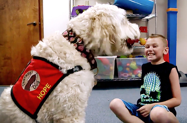 A dog overcomes her own hardships to help those in need.