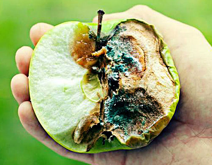 Here's how long an apple sits in storage before making it to your shelf.