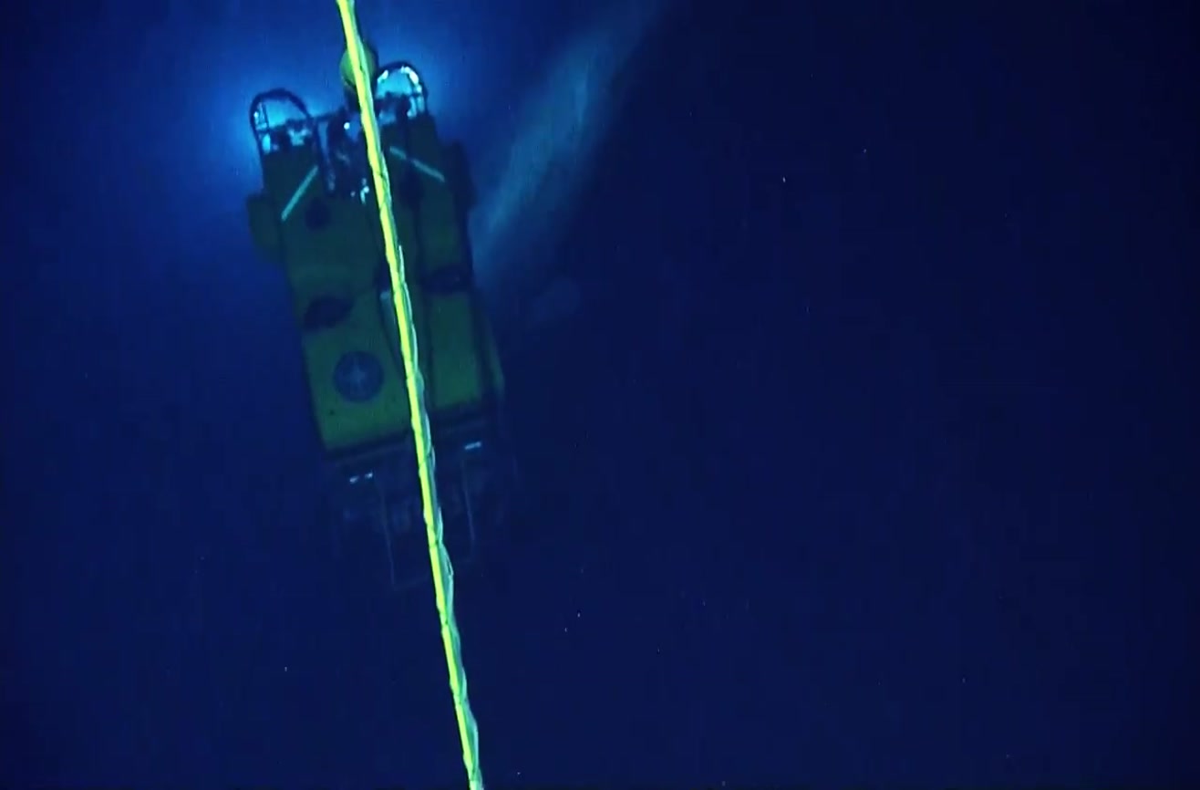 Deep-sea rover's rare encounter with a sperm whale has these scientists ...