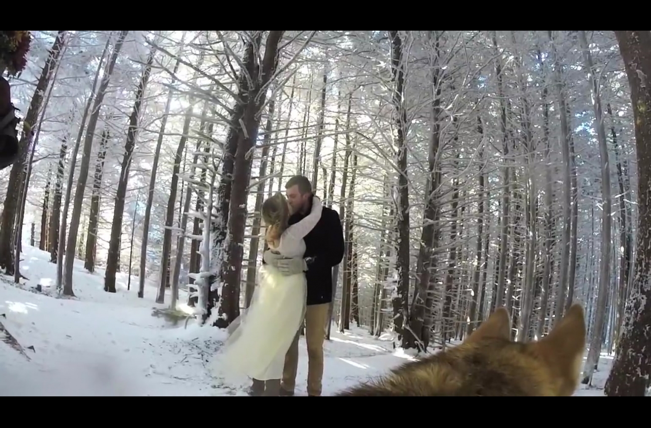 Couple makes a unique wedding video by strapping a GoPro to their dog.