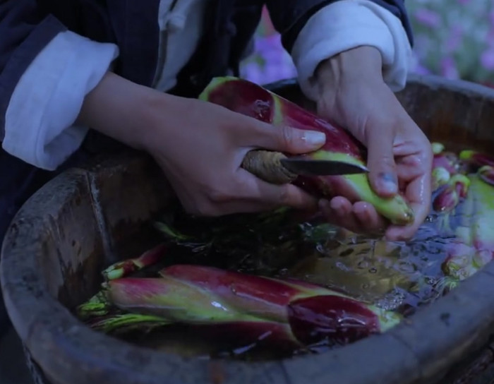Beautiful video of a woman foraging and cooking.