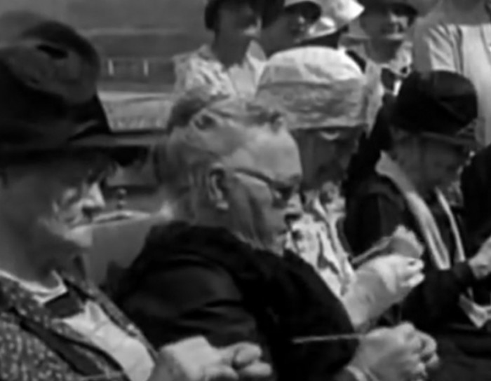 Interviews with elderly Americans in 1929.