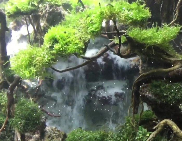 Creative fish tank design features a waterfall made of sand.