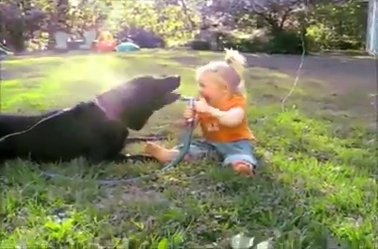 Baby and dog play adorable water games.