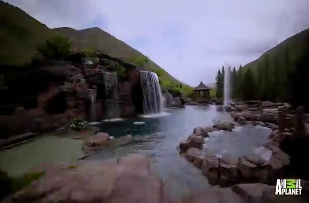 What a $2 million pool looks like.