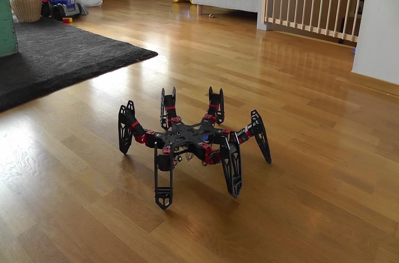 Hexapod kinematic robot.