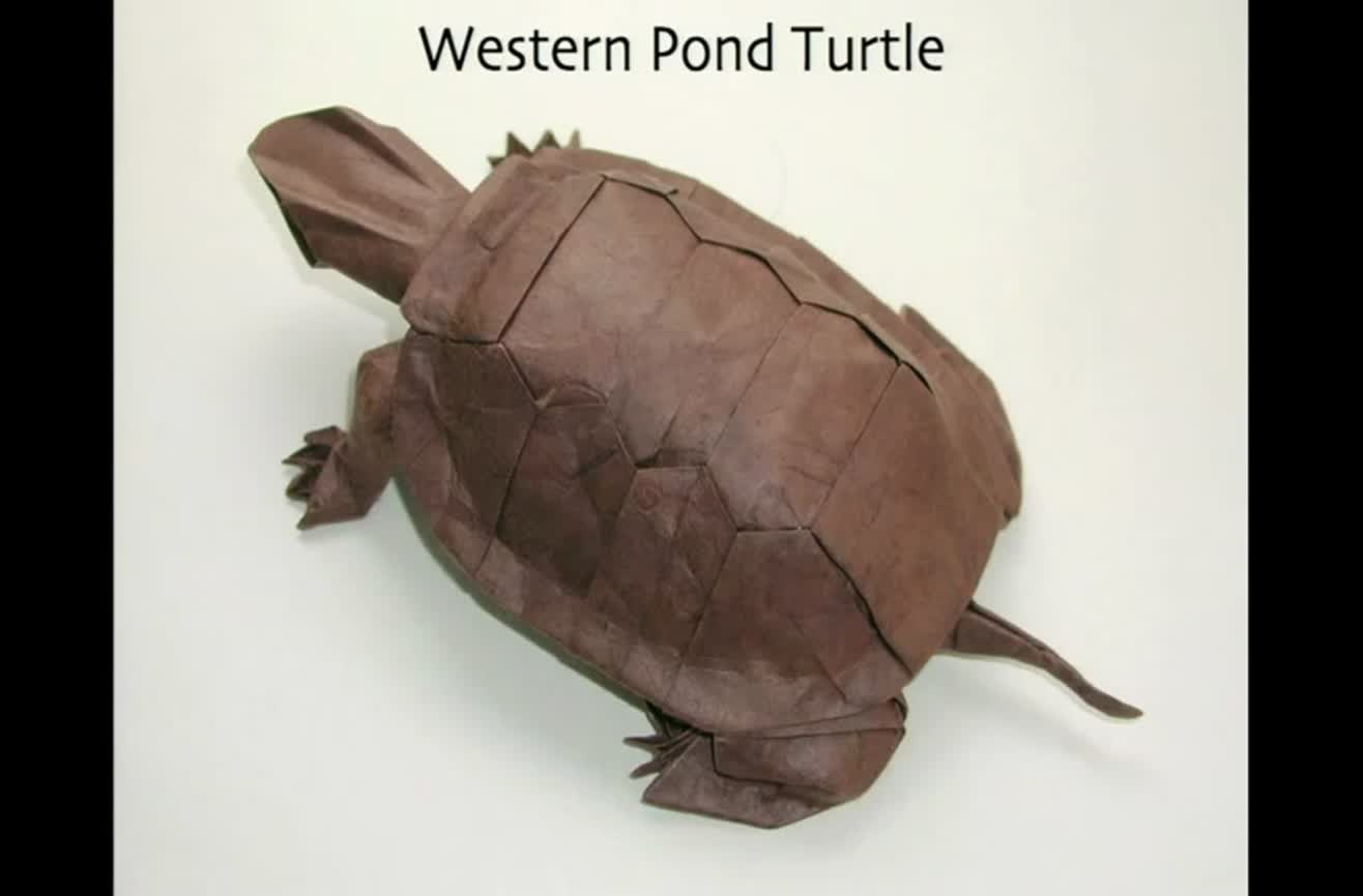 The math and magic of origami.