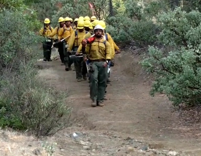These Samoan wildfire firefighters sing like they're straight out of a ...