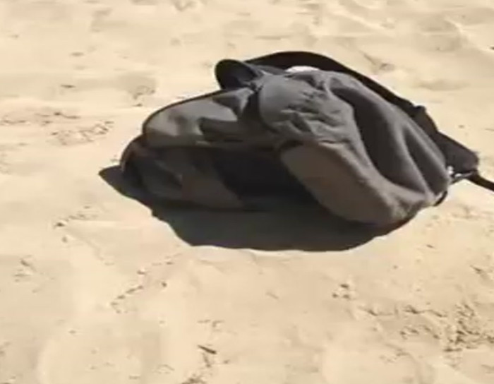A rare shellfish spotted in the wild.