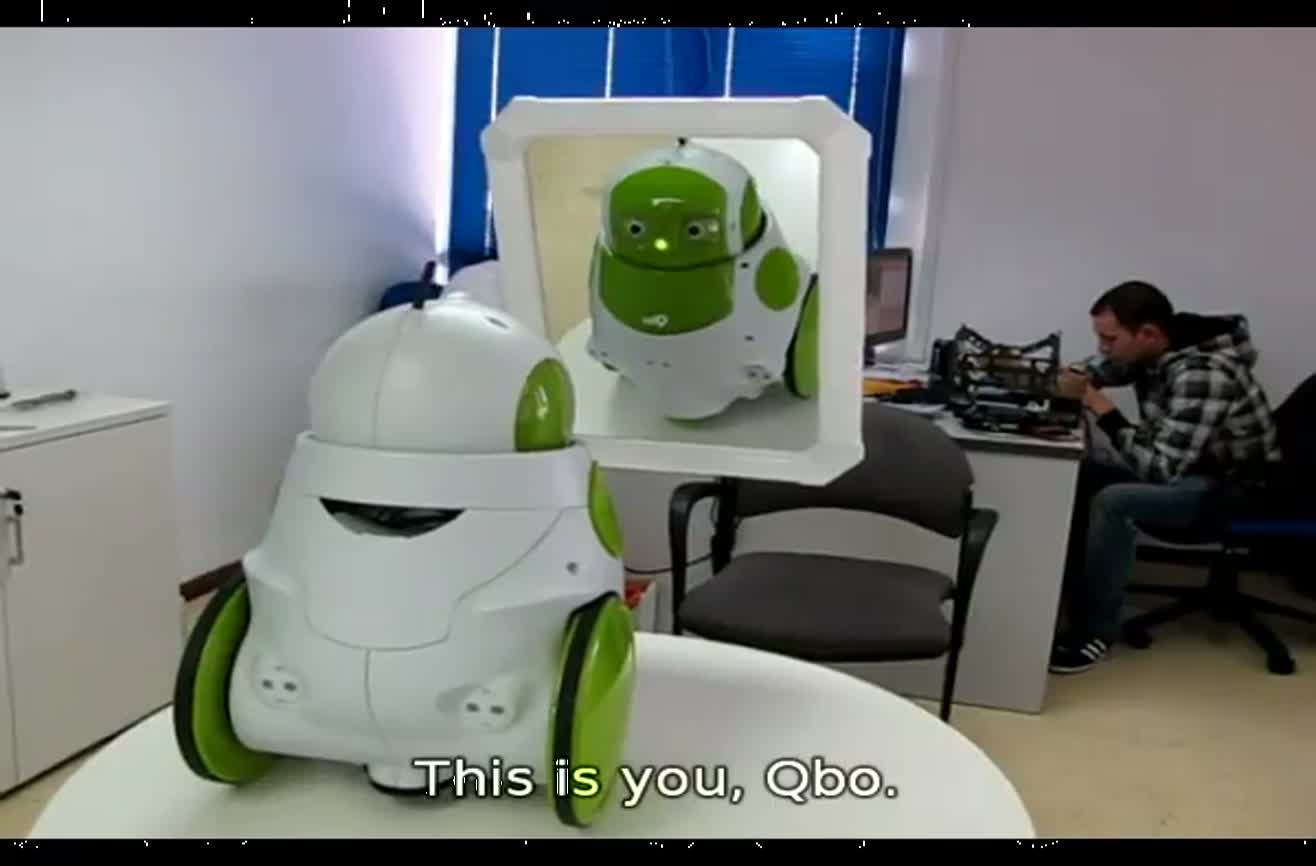 Robot sees itself in the mirror for the first time.