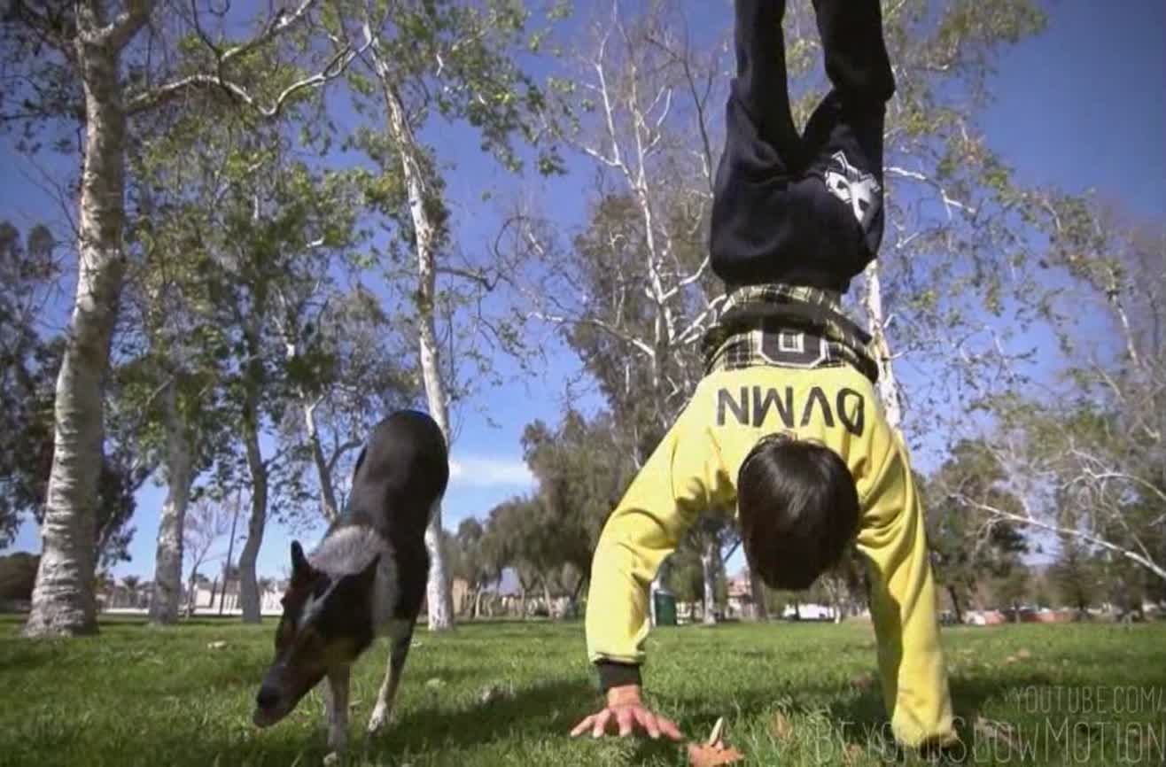 Jumpy the parkour dog.