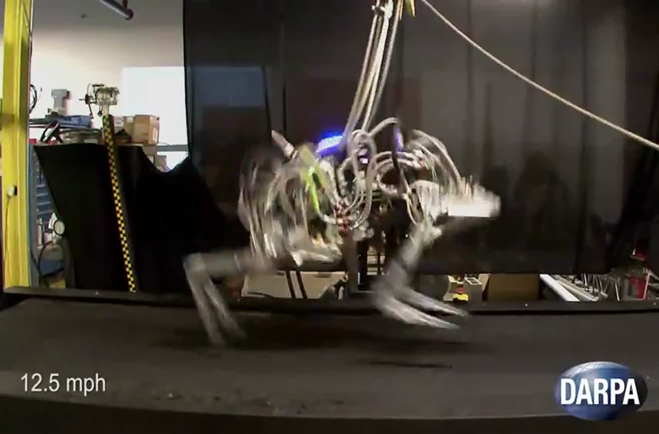 "Cheetah" robot galloping at speeds of up to 18 miles per hour.