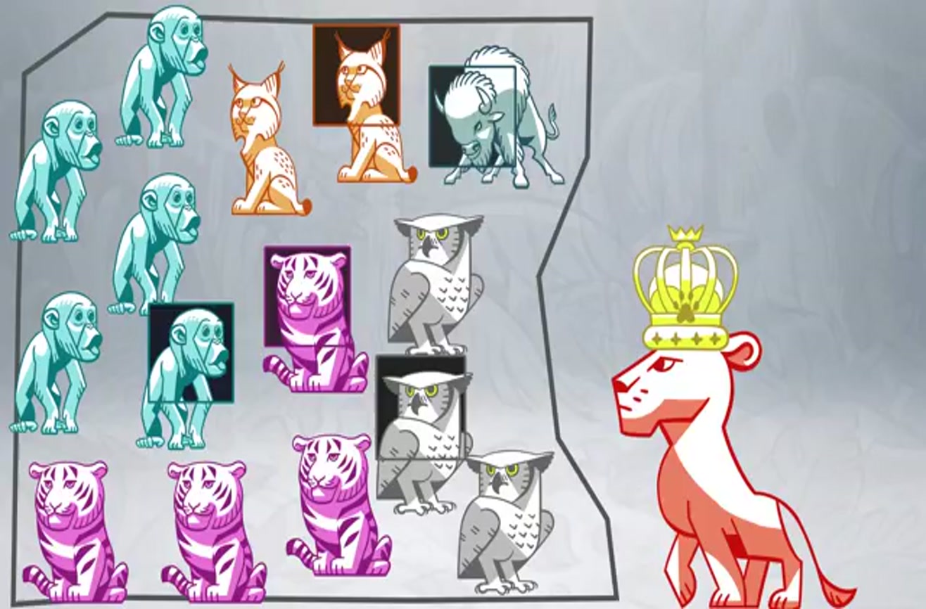 This animal flowchart breaks down the voting process.
