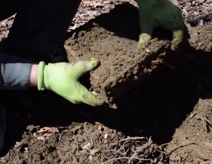 Man finds "treasure chest" out in the woods while metal detecting with ...