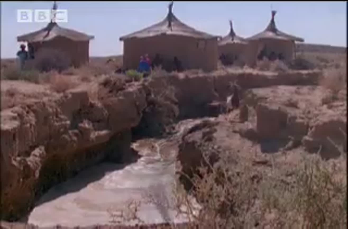 How animals and humans quench thirst in the desert.