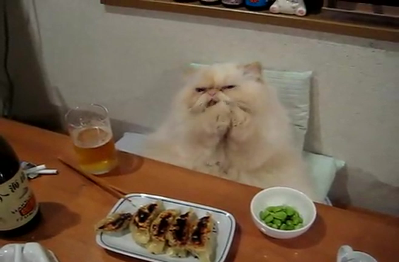 The Japanese version of Garfield.