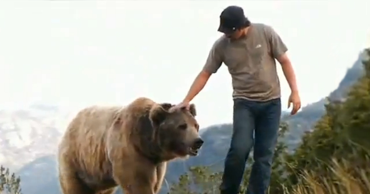 Brutus, the pet grizzly bear.