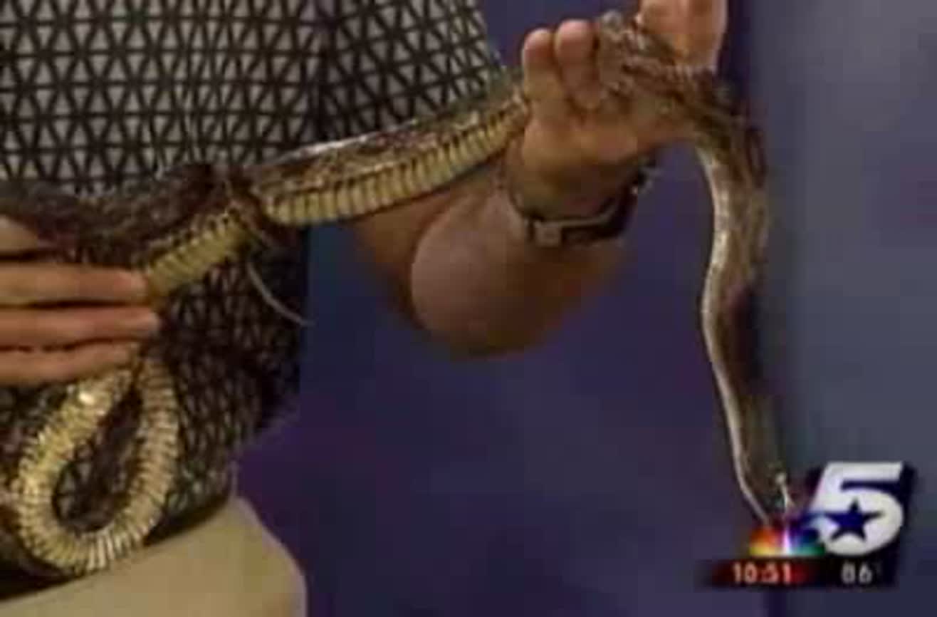 News anchor freaks out.