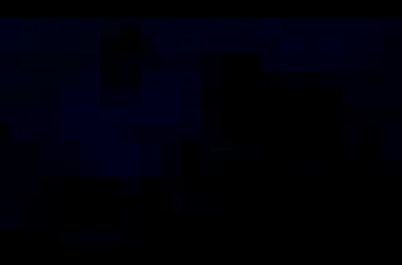 Five-year-old boxer.