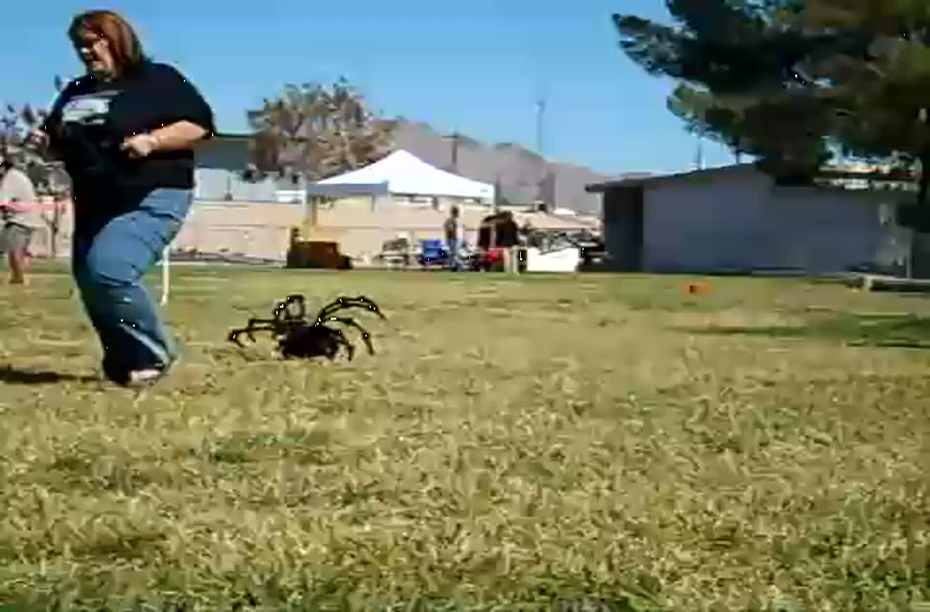 Crazy big spider chases lady... oh wait.