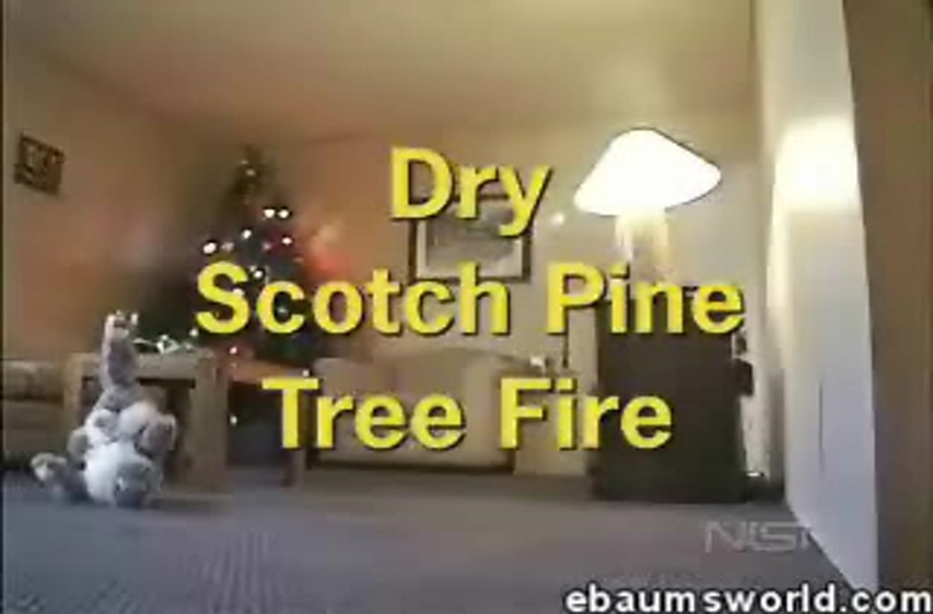 Video created by firefighters shows how quickly a Christmas tree can ...