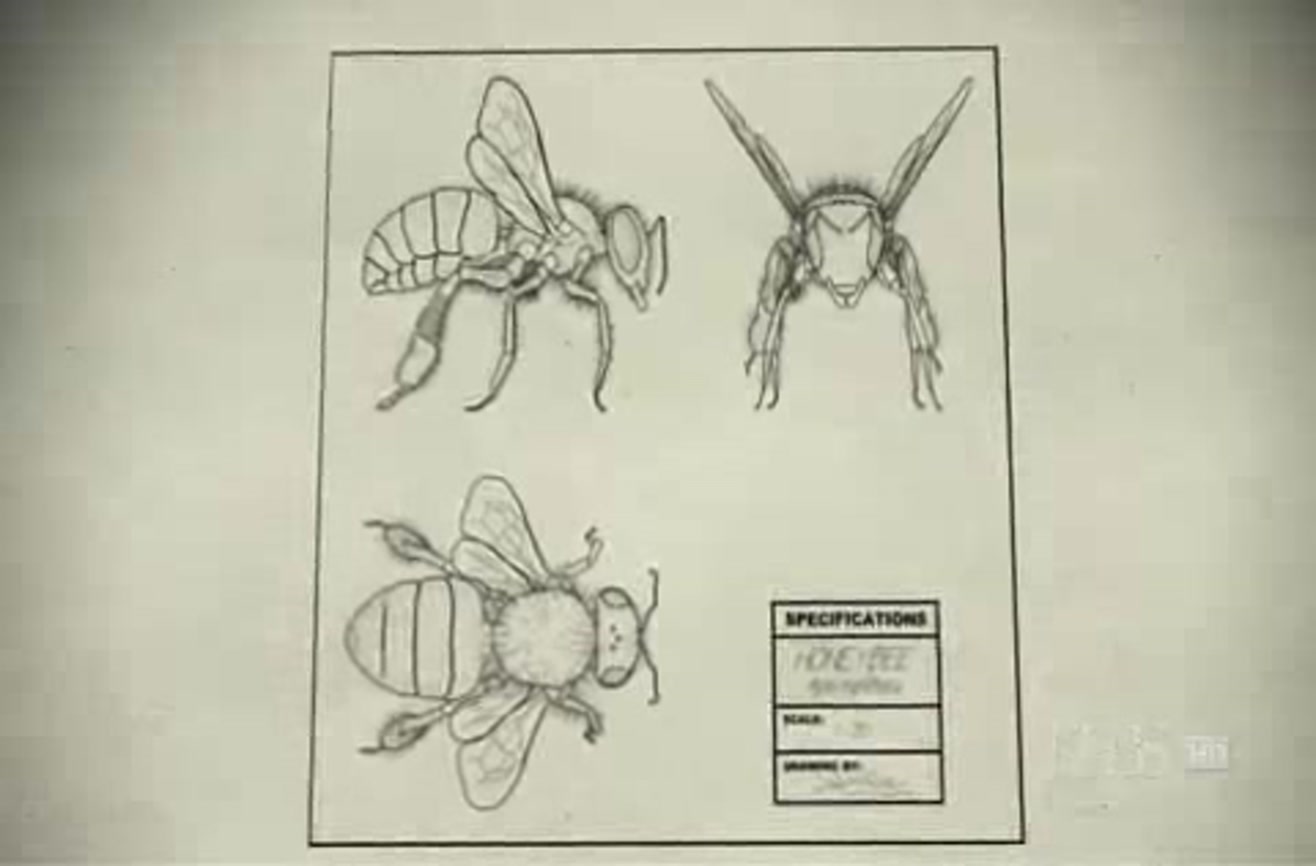 Evolution vs. The honey bee.