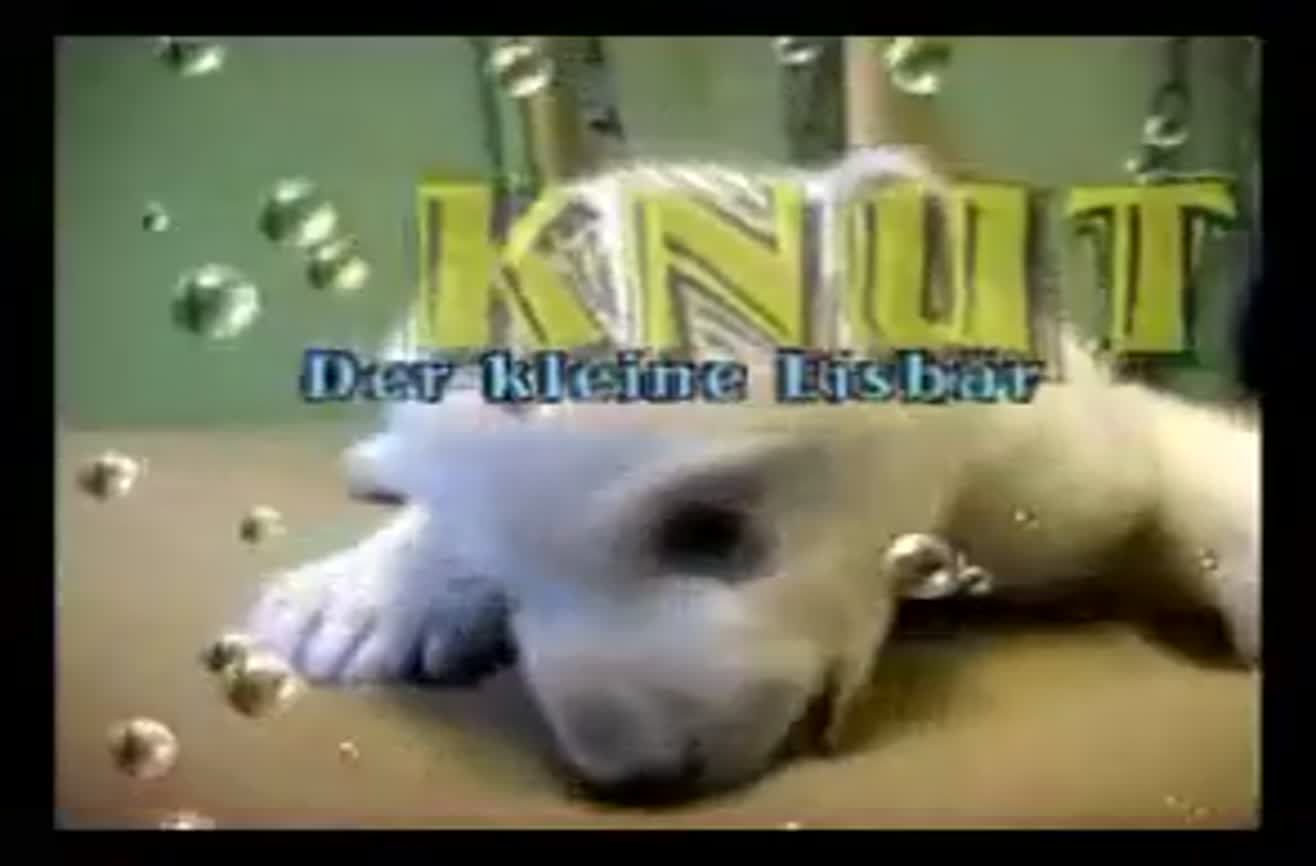 Knut the cute baby polar bear.